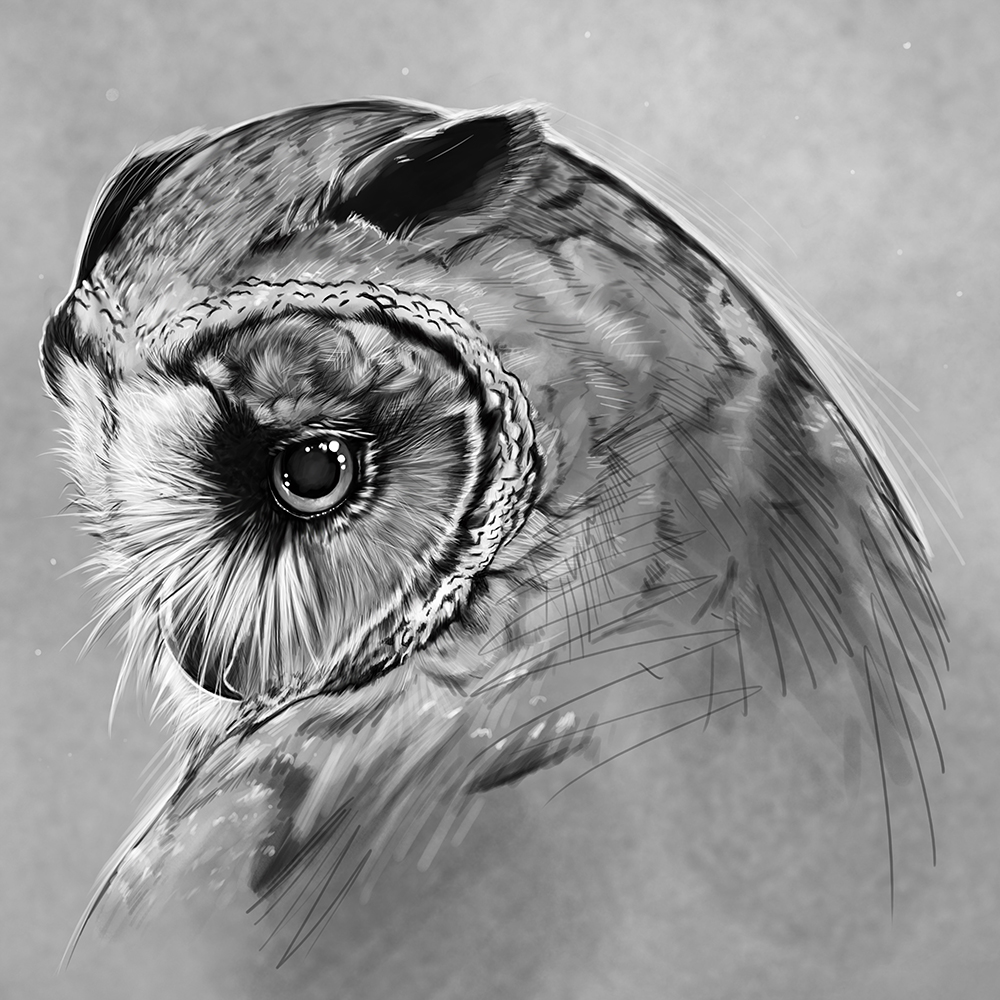 B&W Drawing - Artists&Clients