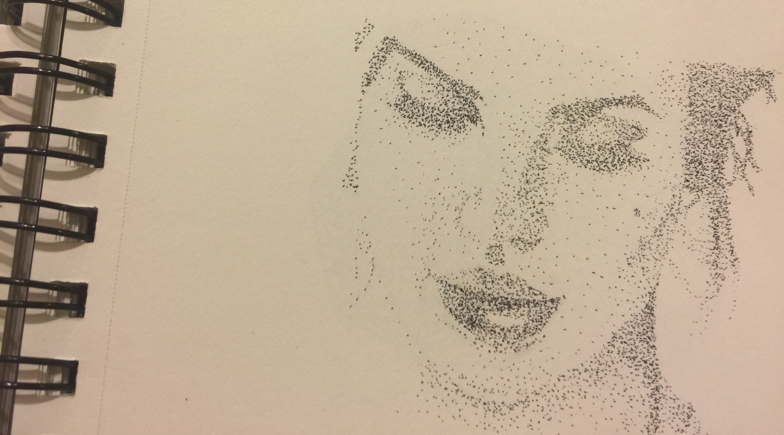 A stippling piece of a face - Artists&Clients